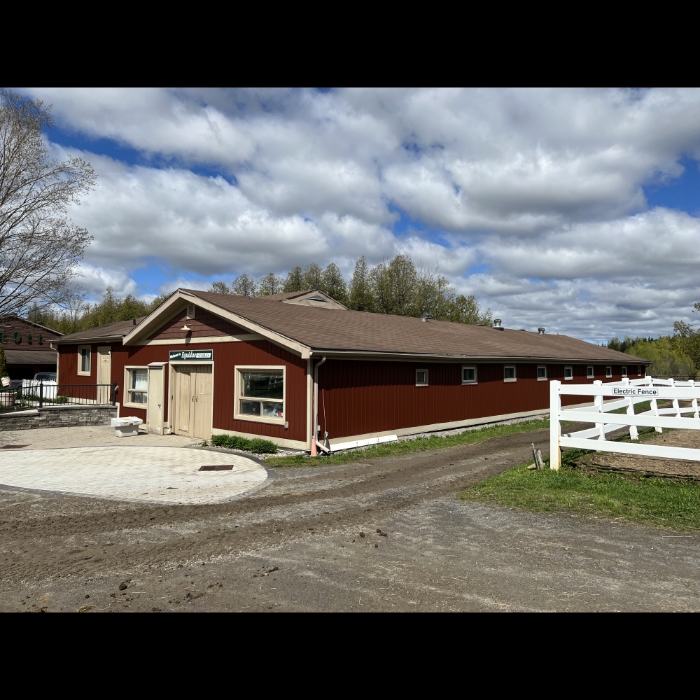 Therapeutic Riding Association of Ottawa-Carleton (TROtt) | City of Ottawa