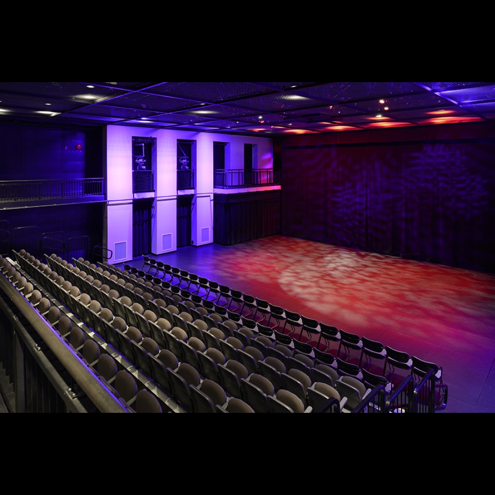 Les Lye Studio Theatre - Meridian Theatres at Centrepointe | City of Ottawa
