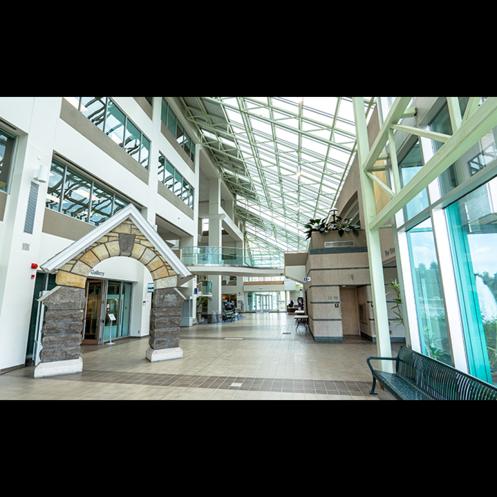 Atrium - Ben Franklin Place | City of Ottawa