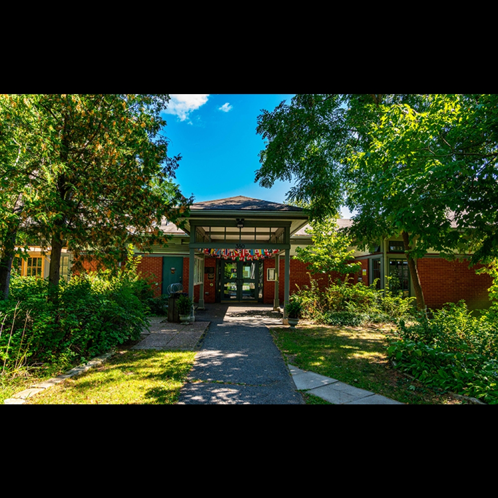 the rockcliffe files