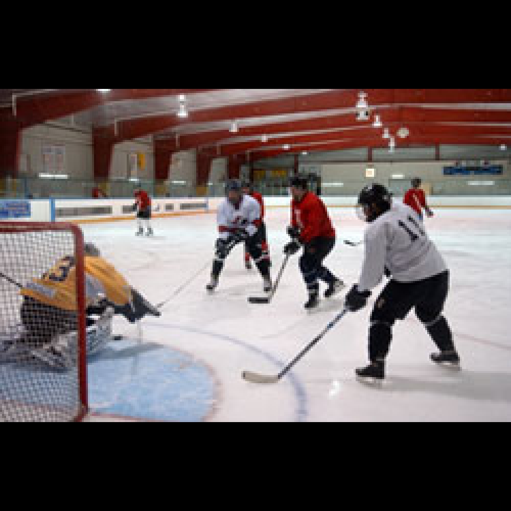 Ray Friel Recreation Complex | City of Ottawa